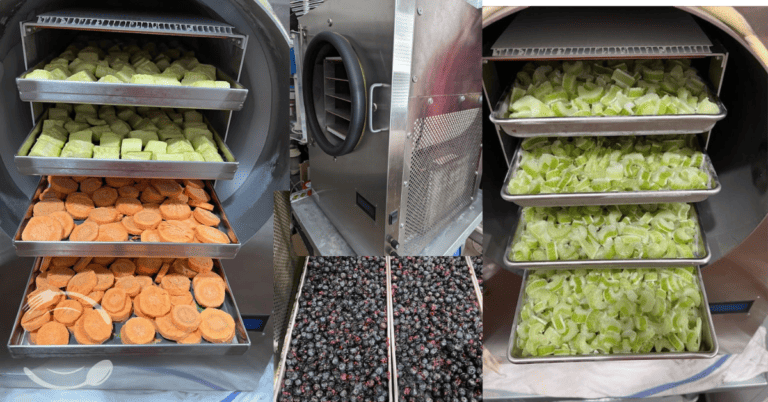 Unleash Flavor: Beginner's Guide to Freeze Drying - Savor Your Best