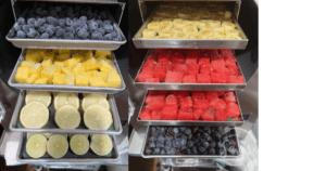 6 Top Freeze Dried Snacks for On-the-Go Nutrition - Savor Your Best