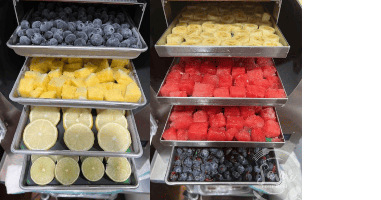 6 Top Freeze Dried Snacks for On-the-Go Nutrition - Savor Your Best