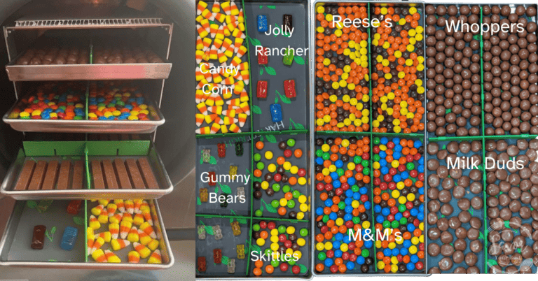 Homemade Candy Lab: How to Freeze Dry Candy - Savor Your Best