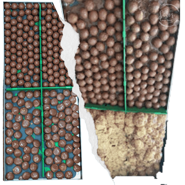 Homemade Candy Lab: How to Freeze Dry Candy - Savor Your Best