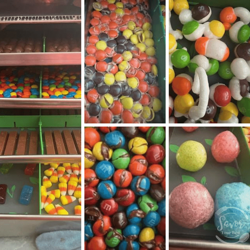 Homemade Candy Lab: How to Freeze Dry Candy - Savor Your Best