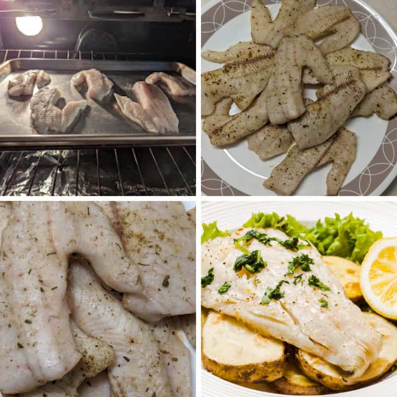 Preserving Your Catch: A Guide to Freeze Drying Fish - Savor Your Best