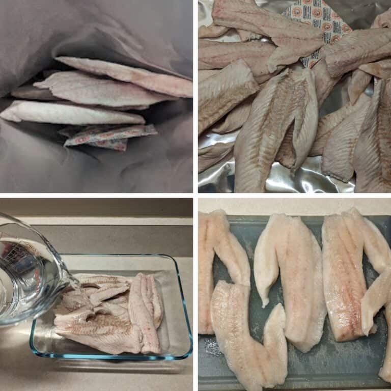 Preserving Your Catch: A Guide to Freeze Drying Fish - Savor Your Best